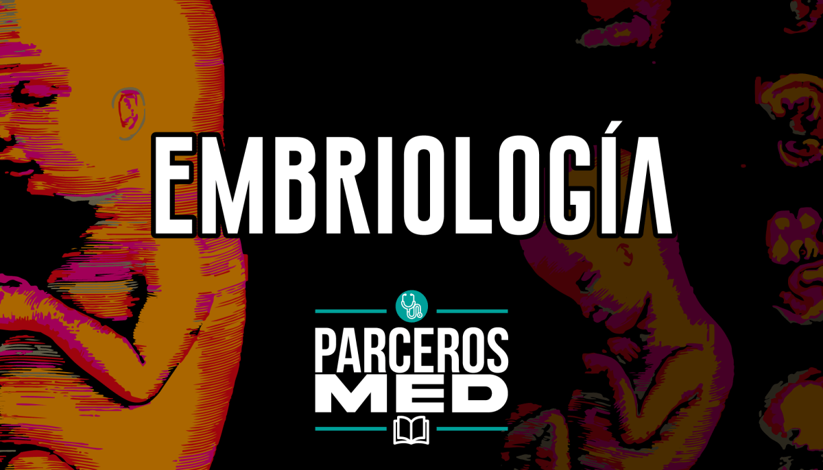 Inicio - Parceros Med